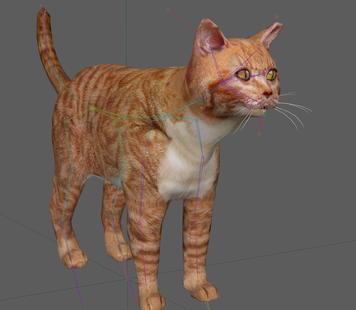 3D model Orange Cat Tabby - TurboSquid 2153833