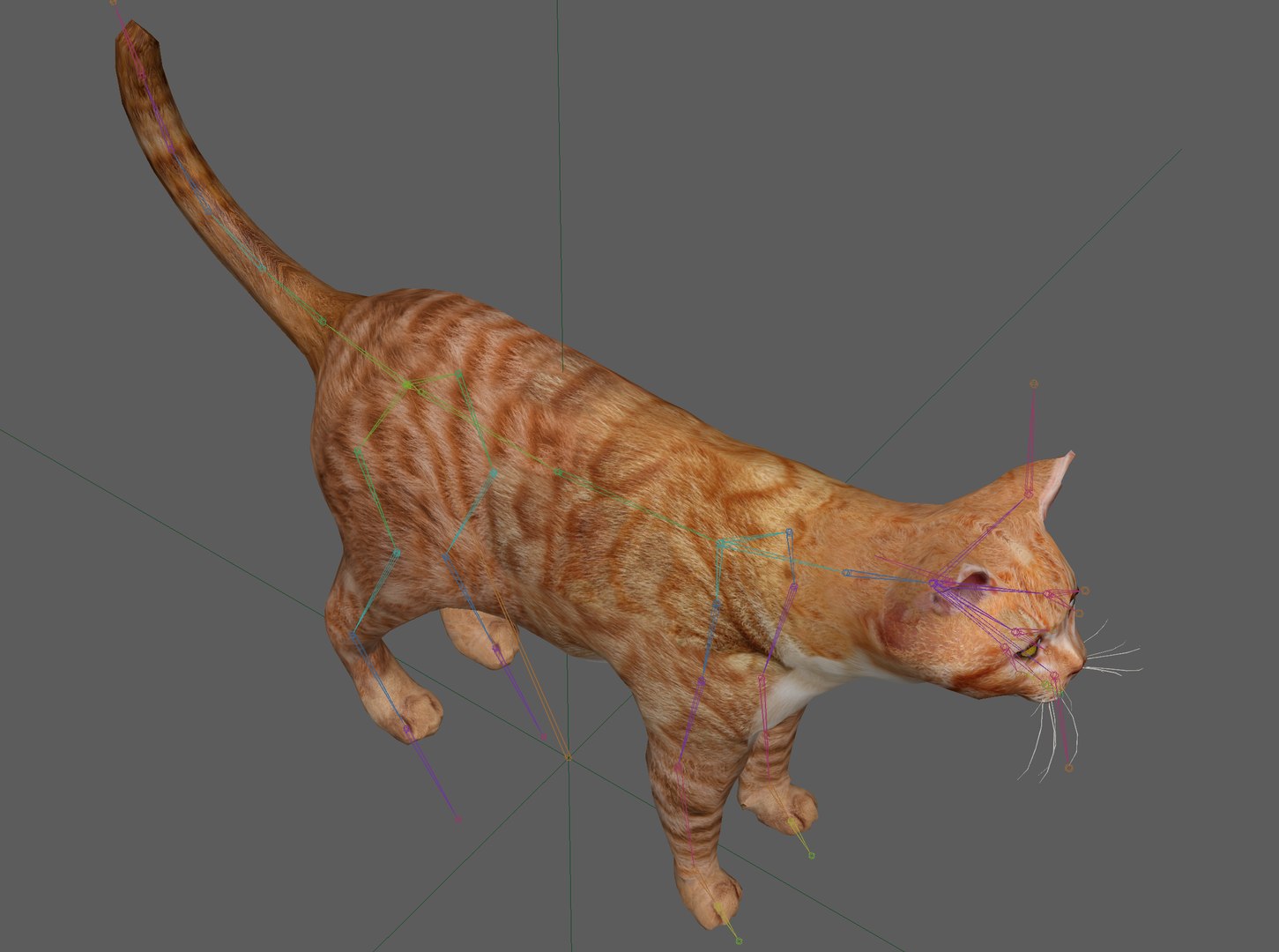 3D model Orange Cat Tabby - TurboSquid 2153833