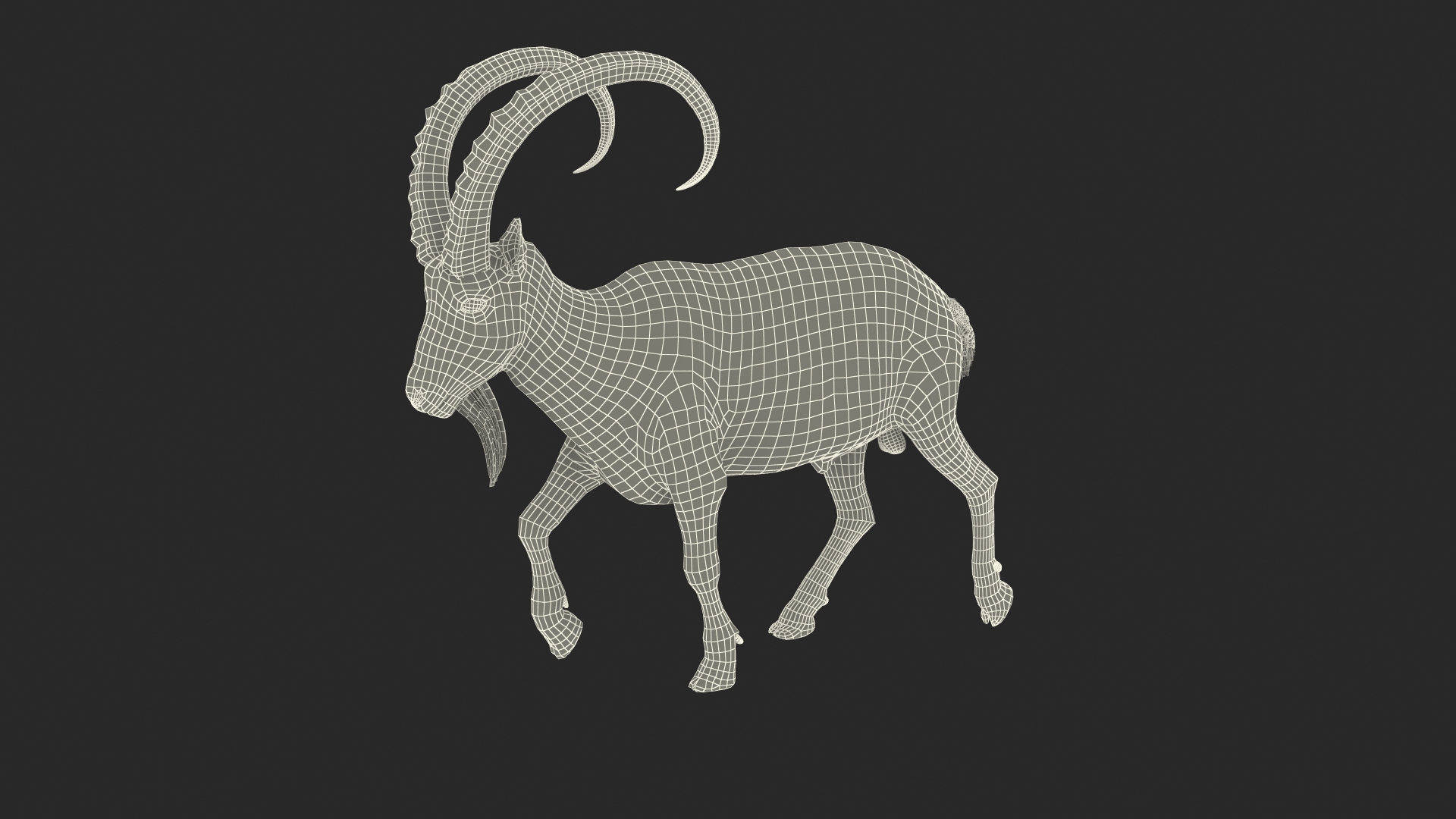 Alpine Ibex In Walking Pose Fur Model - TurboSquid 2219811