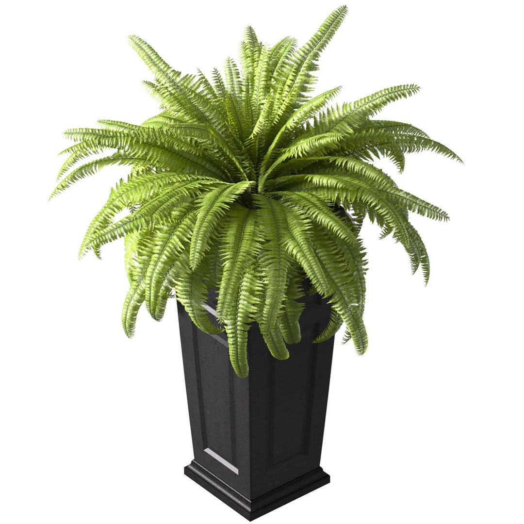 Boston Fern in a ArtDeco flowerpot Plant Front Entrance Patio 3D model ...