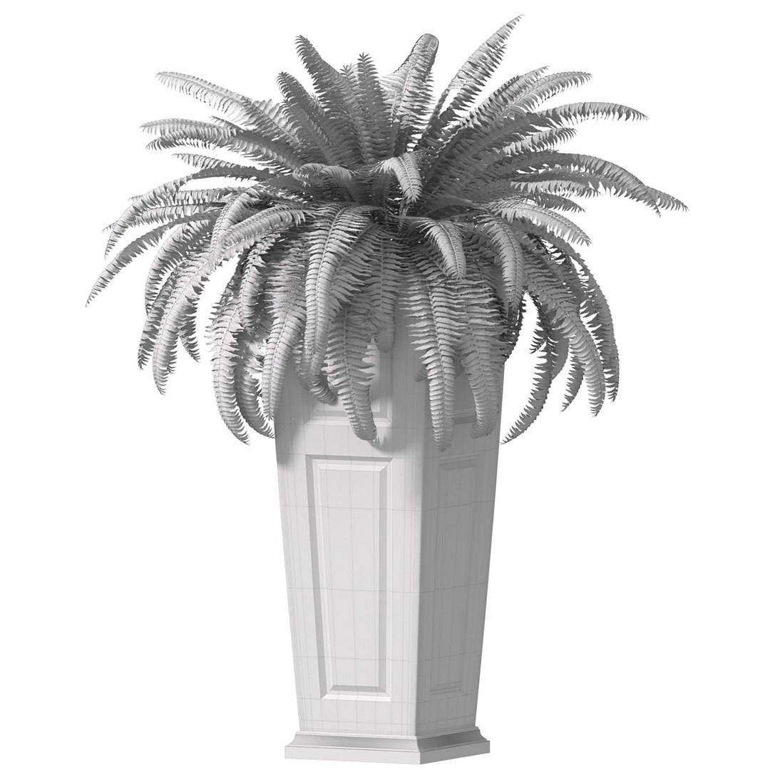 Boston Fern in a ArtDeco flowerpot Plant Front Entrance Patio 3D model ...