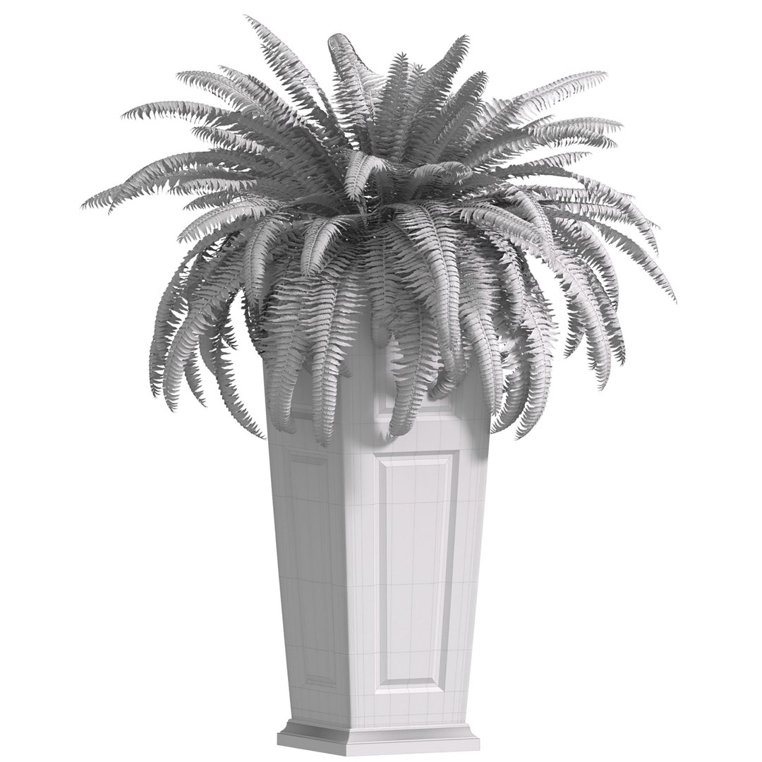 Boston Fern in a ArtDeco flowerpot Plant Front Entrance Patio 3D model ...