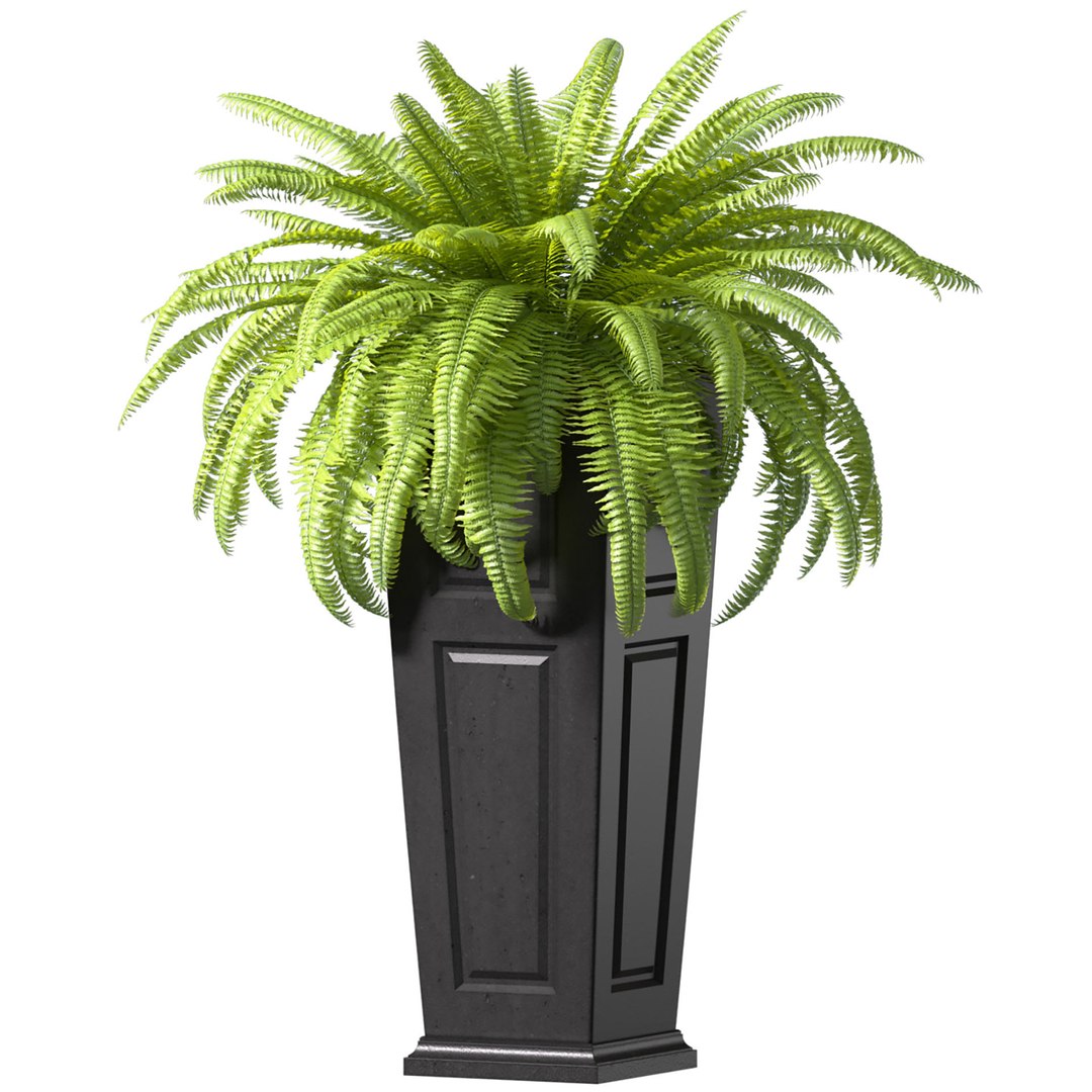 Boston Fern in a ArtDeco flowerpot Plant Front Entrance Patio 3D model ...