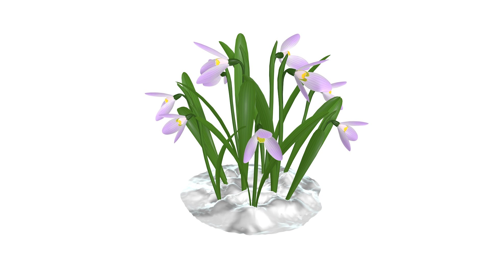 Snowdrops Spring Flowers Pink 3D - TurboSquid 2329411