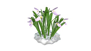3D Snowdrop Flower Models - Browse & Download Formats - TurboSquid