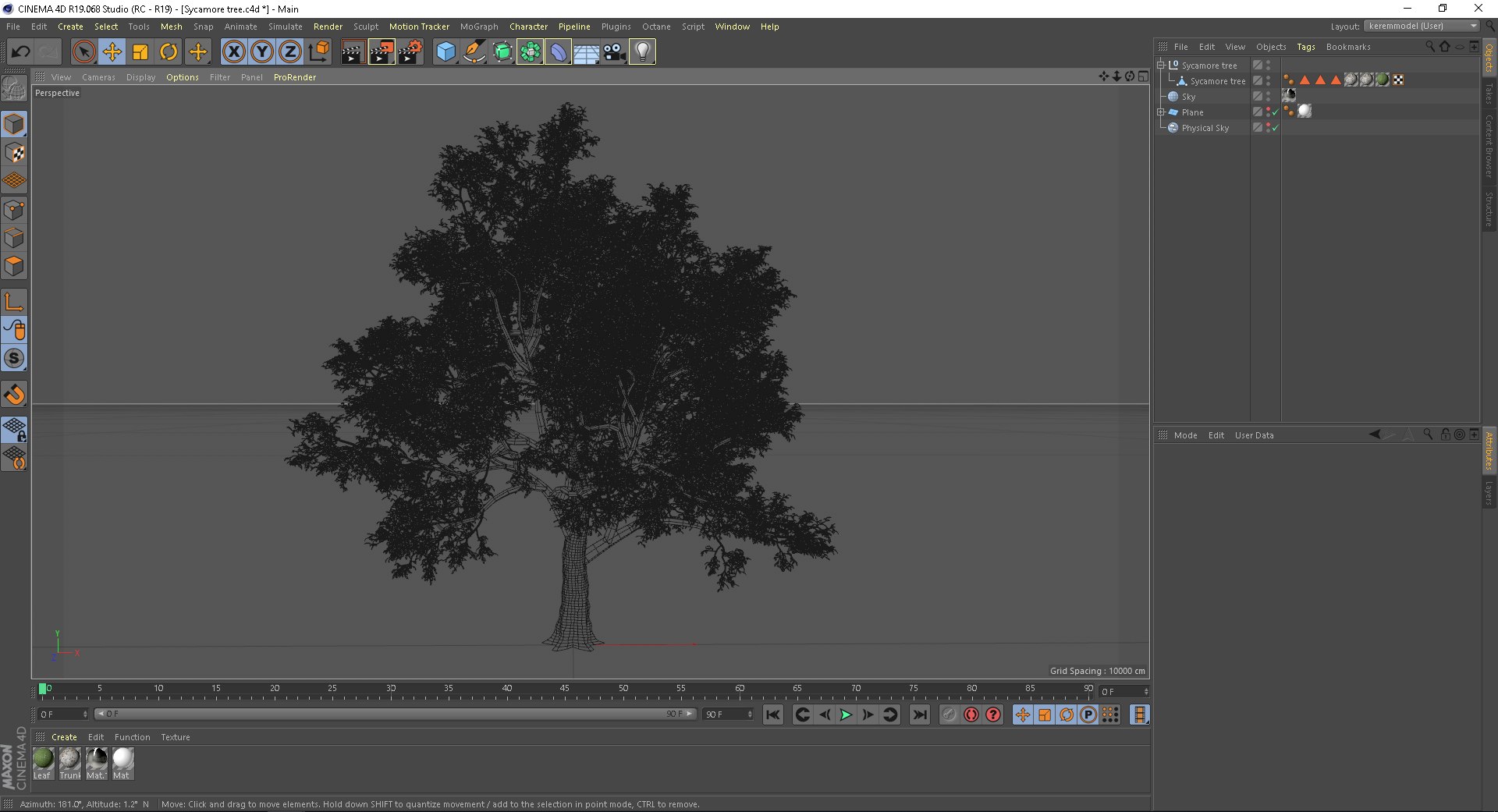 Sycamore Tree 3D - TurboSquid 1401160
