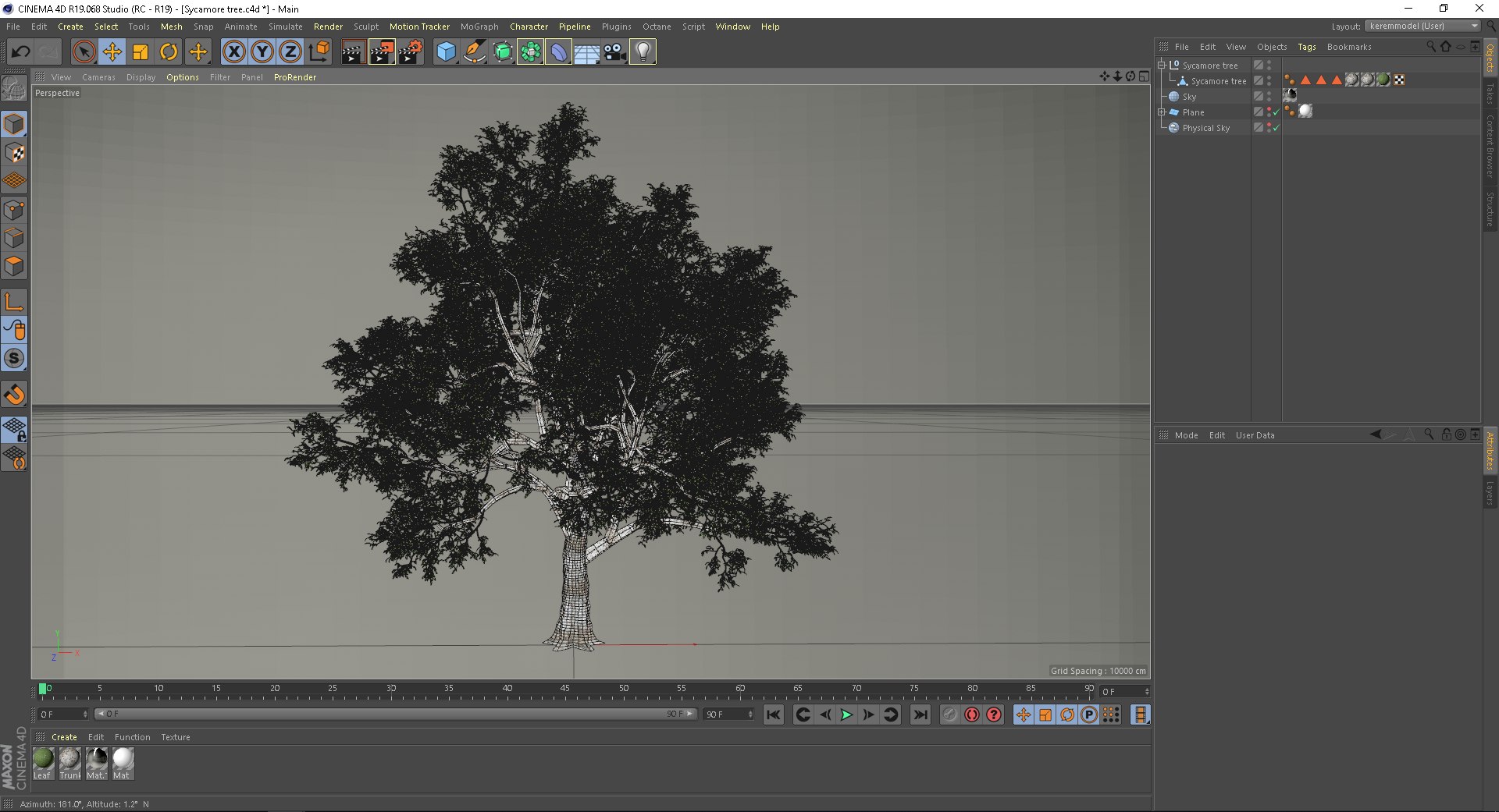 Sycamore Tree 3D - TurboSquid 1401160