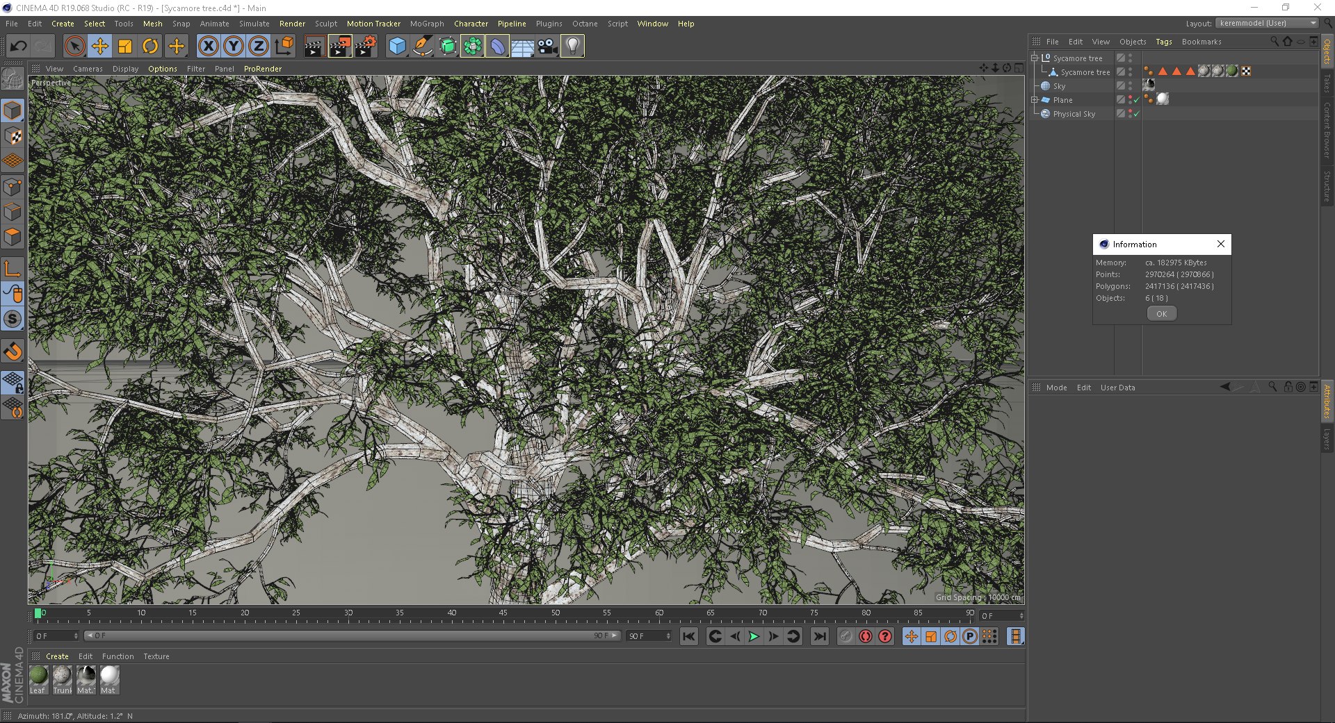 Sycamore Tree 3D - TurboSquid 1401160