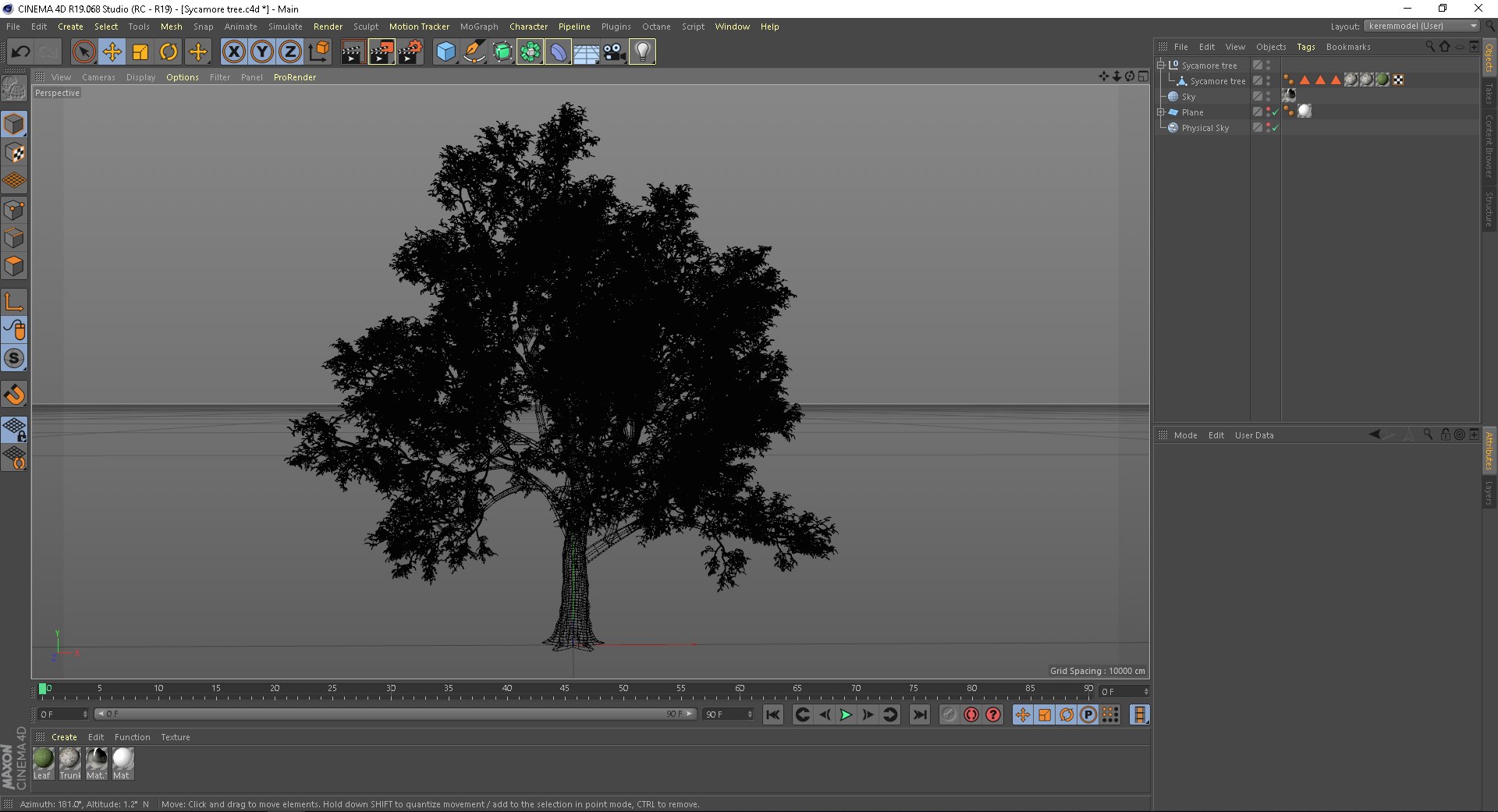 Sycamore Tree 3D - TurboSquid 1401160
