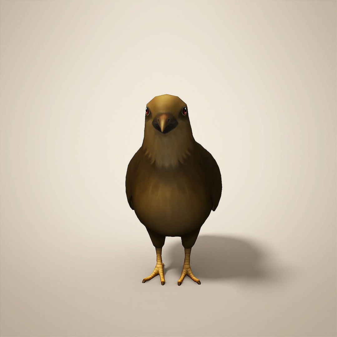 Cartoon quail 3D model - TurboSquid 1238328