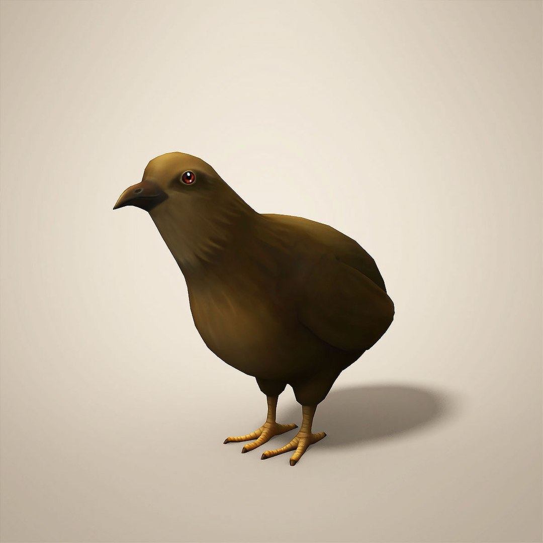 Cartoon quail 3D model - TurboSquid 1238328