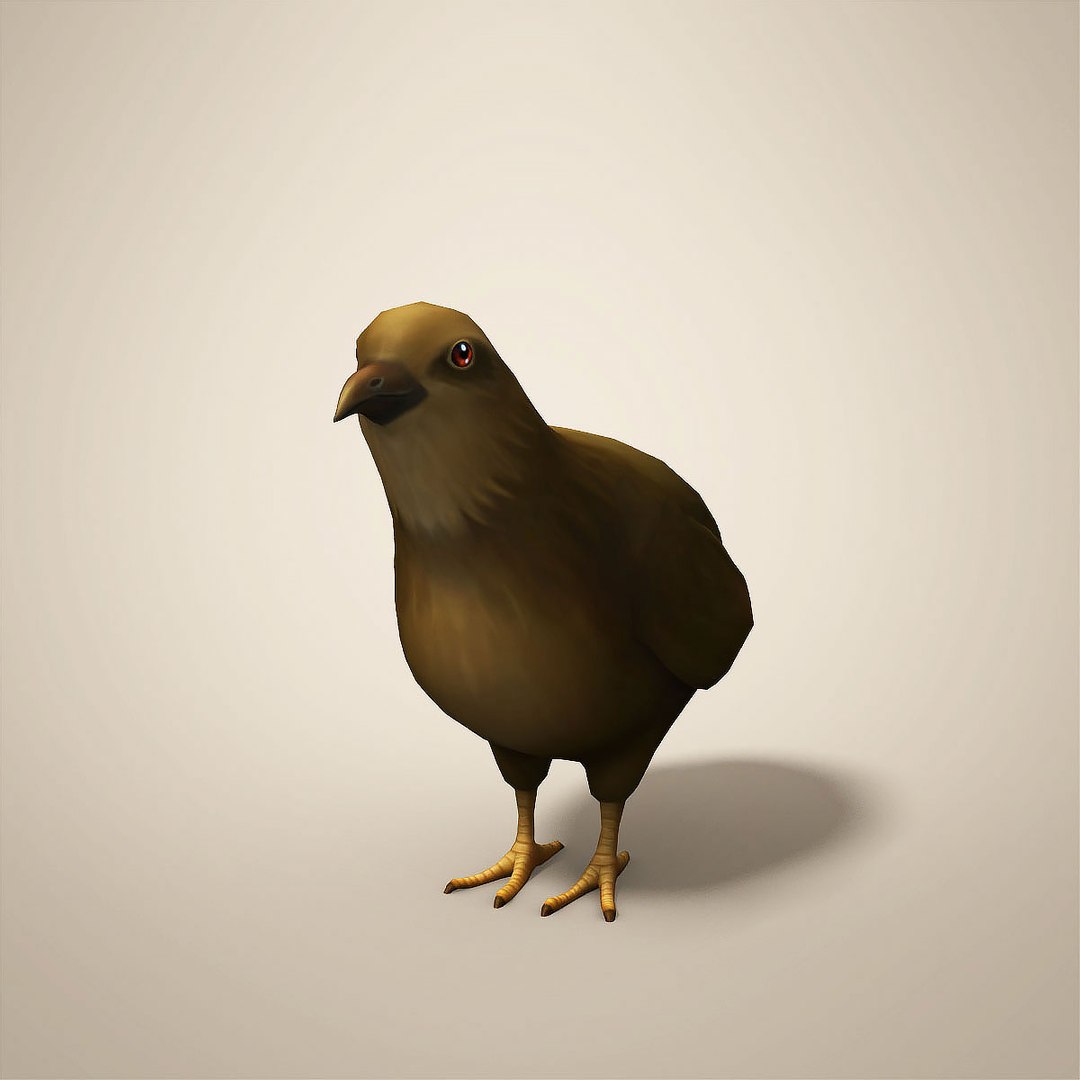 Cartoon quail 3D model - TurboSquid 1238328