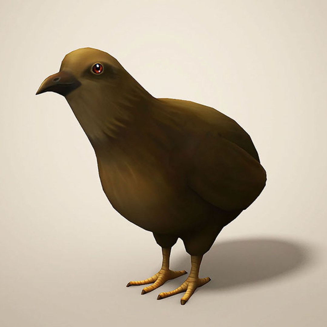 Cartoon quail 3D model - TurboSquid 1238328