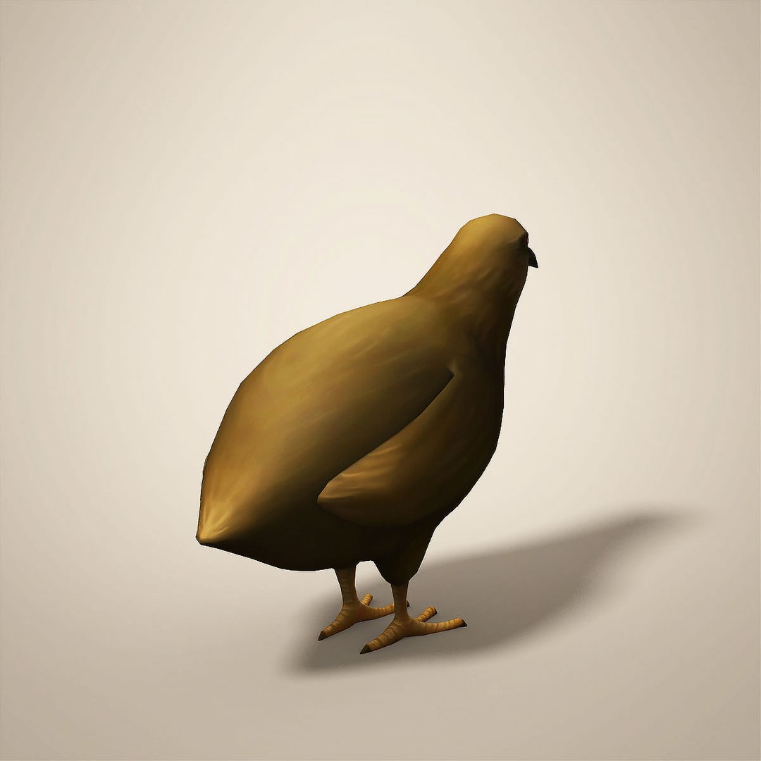 Cartoon quail 3D model - TurboSquid 1238328