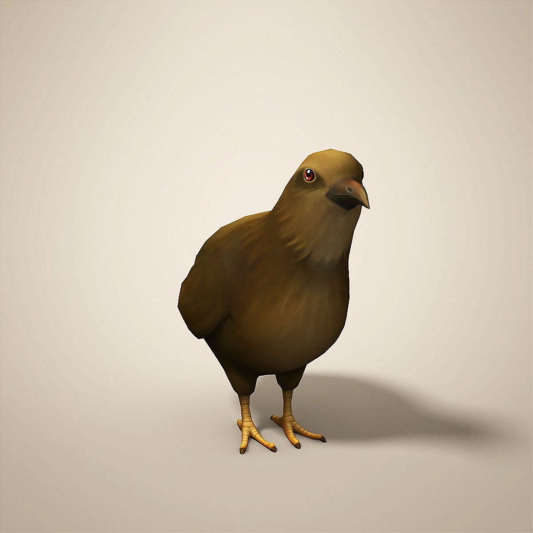 Cartoon quail 3D model - TurboSquid 1238328