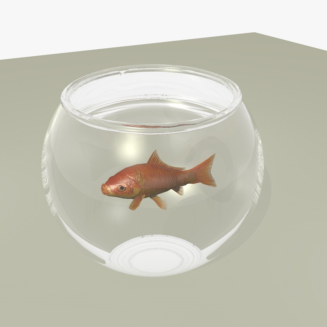 Common Goldfish Fish Bowl 3d C4d