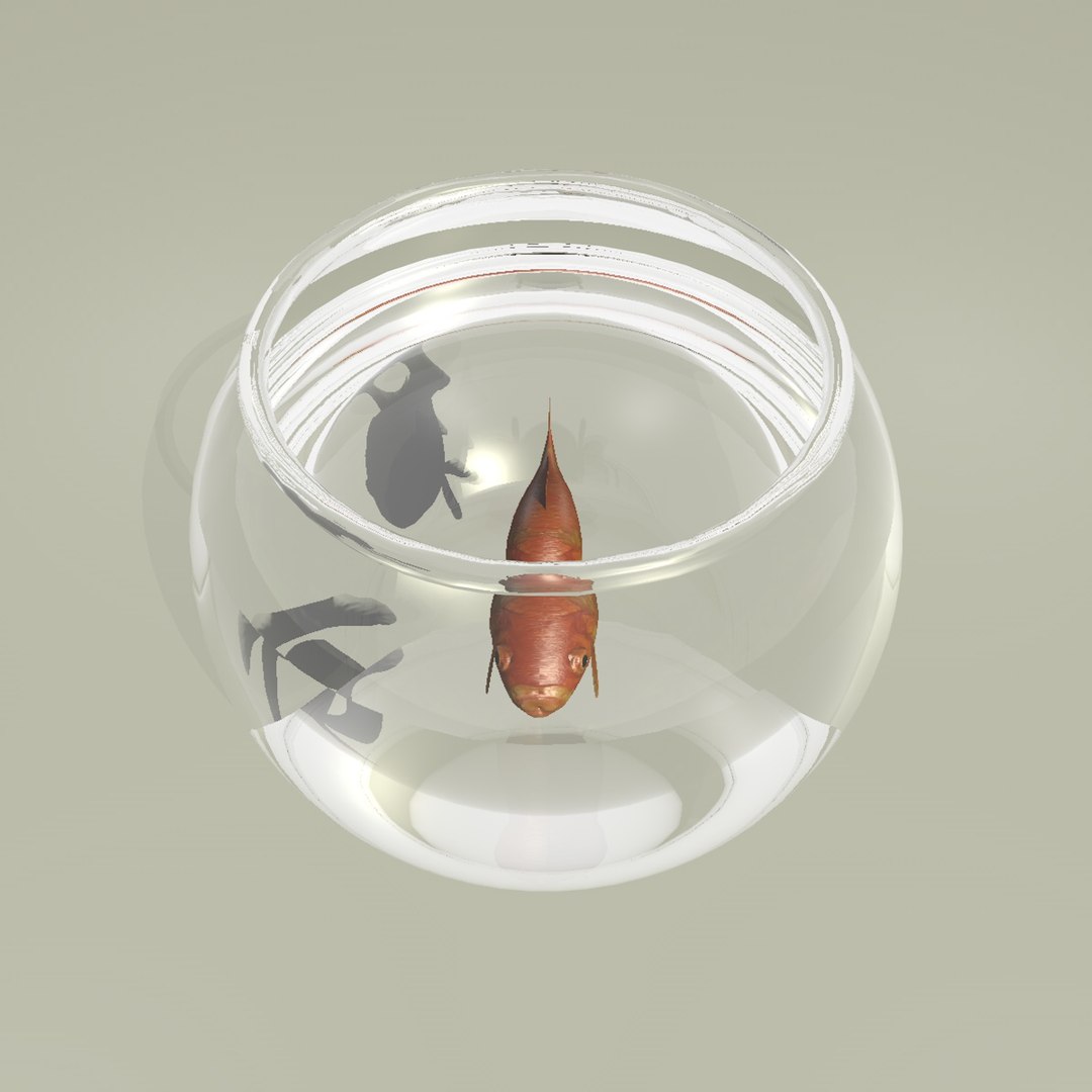 Common Goldfish Fish Bowl 3d C4d