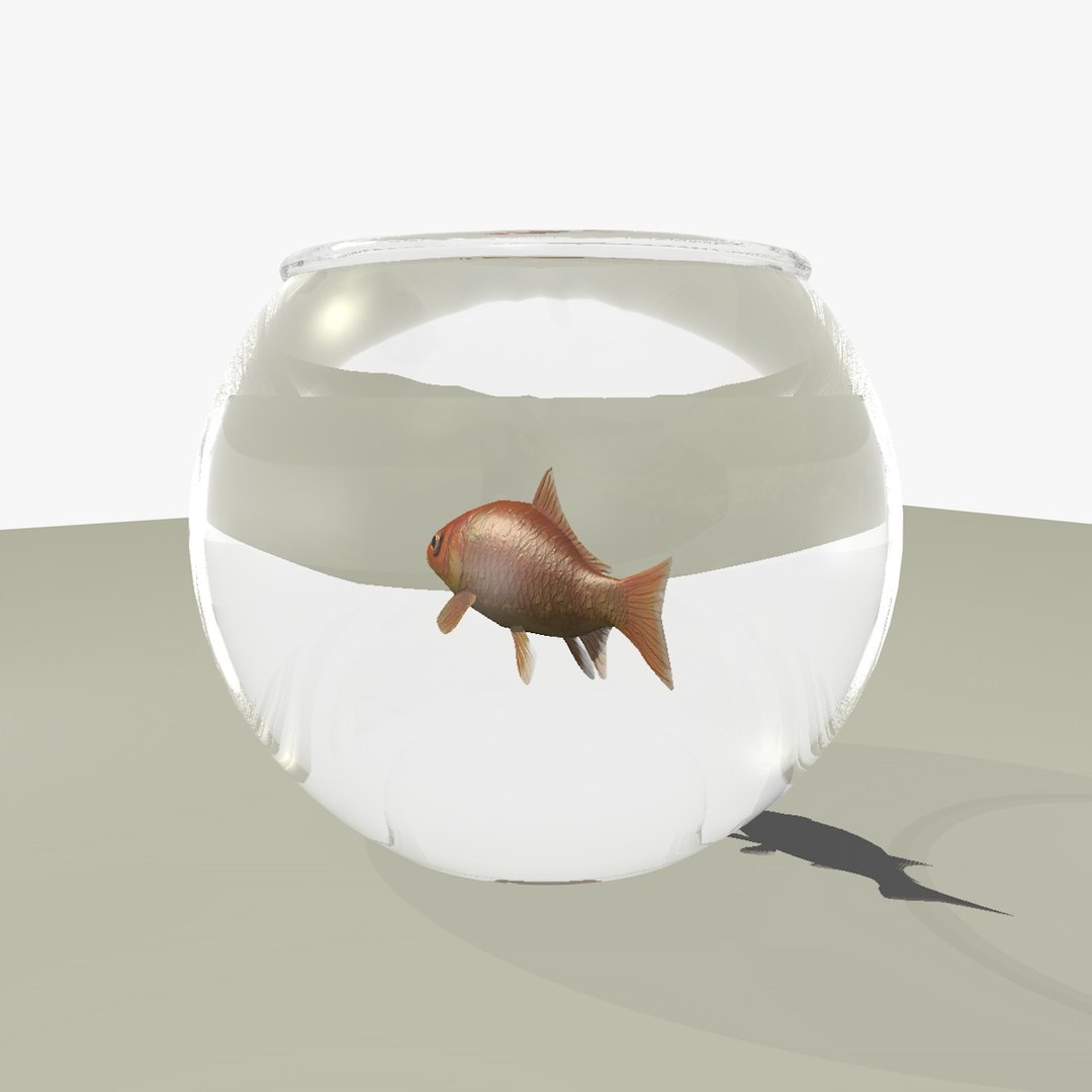 Common Goldfish Fish Bowl 3d C4d