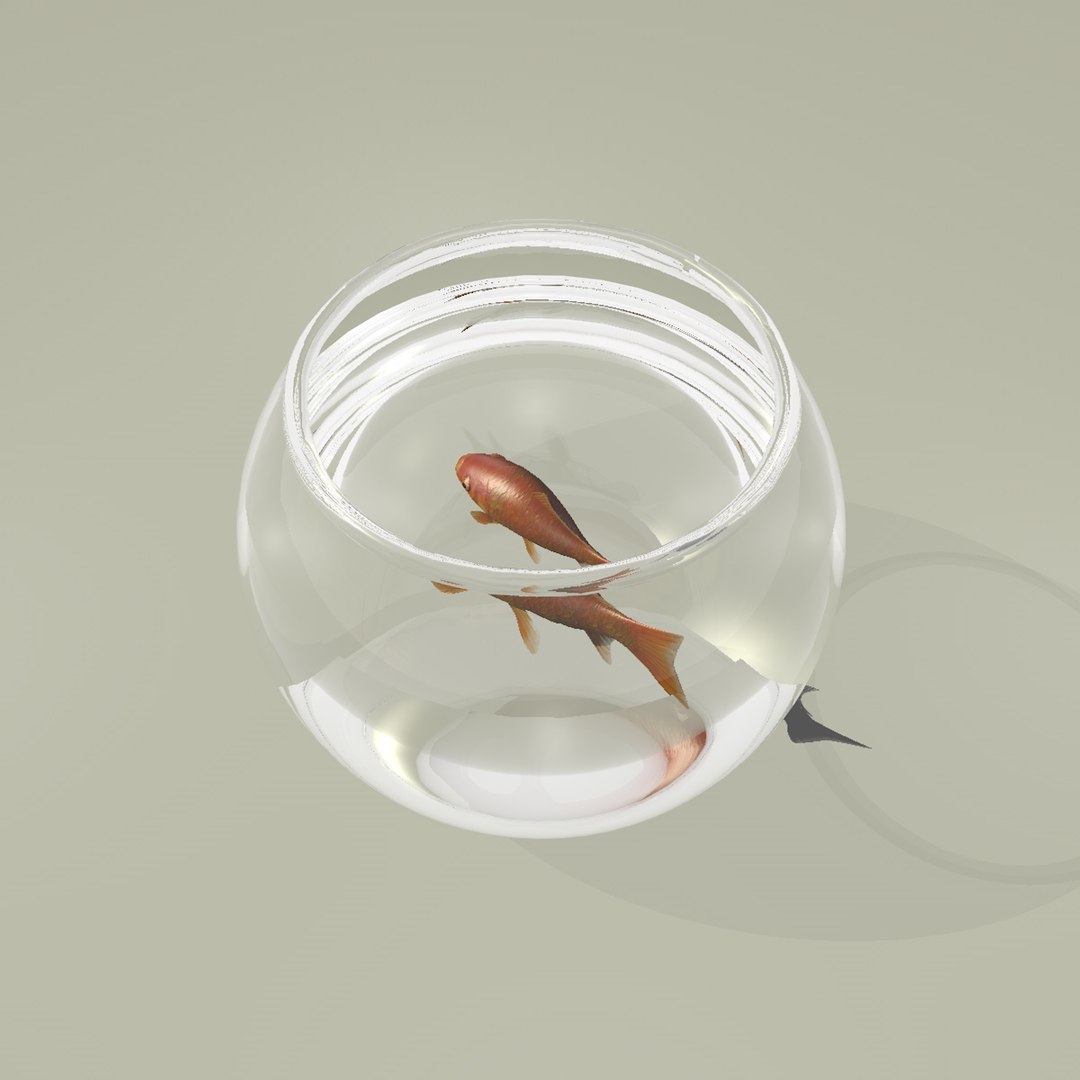 Common Goldfish Fish Bowl 3d C4d