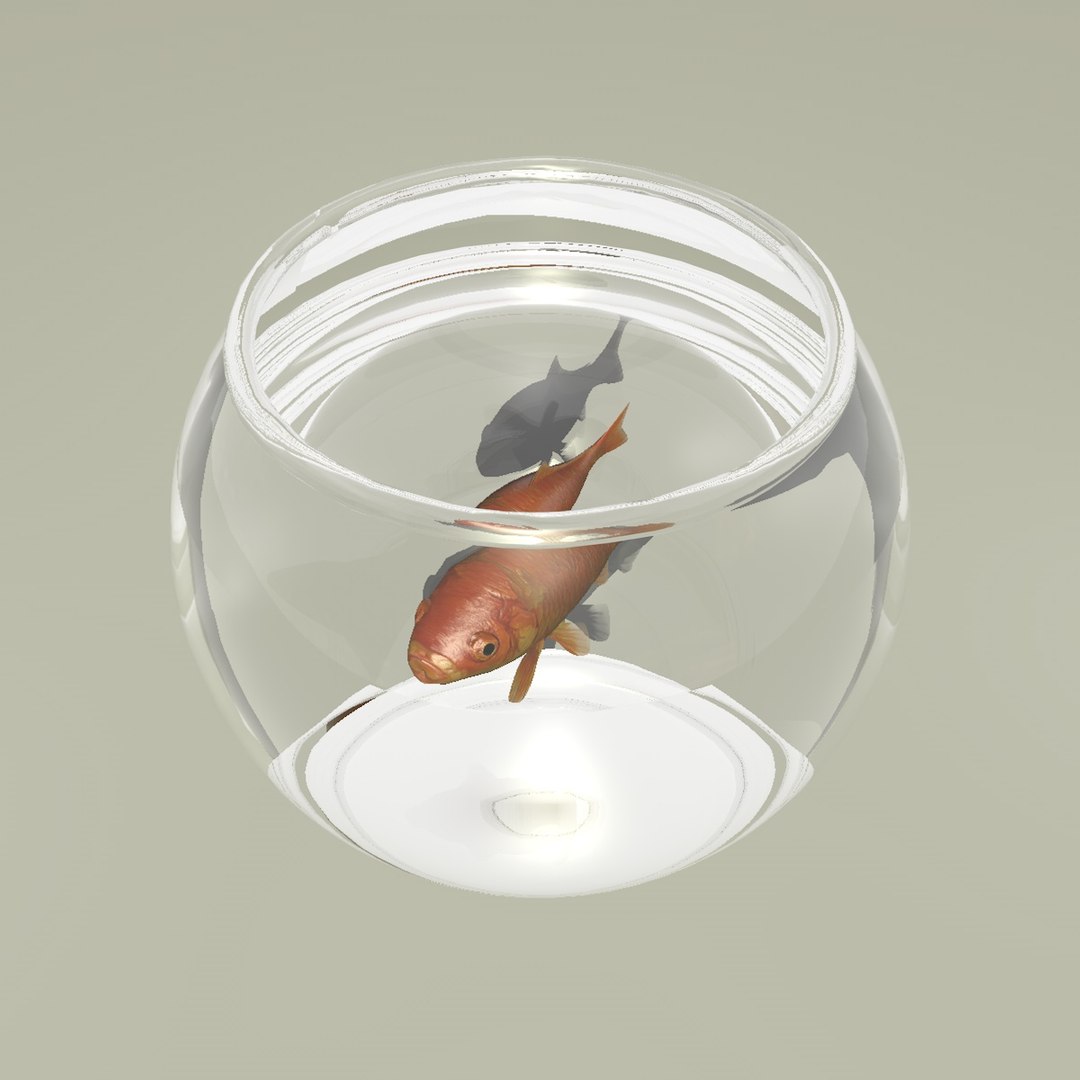 Common Goldfish Fish Bowl 3d C4d