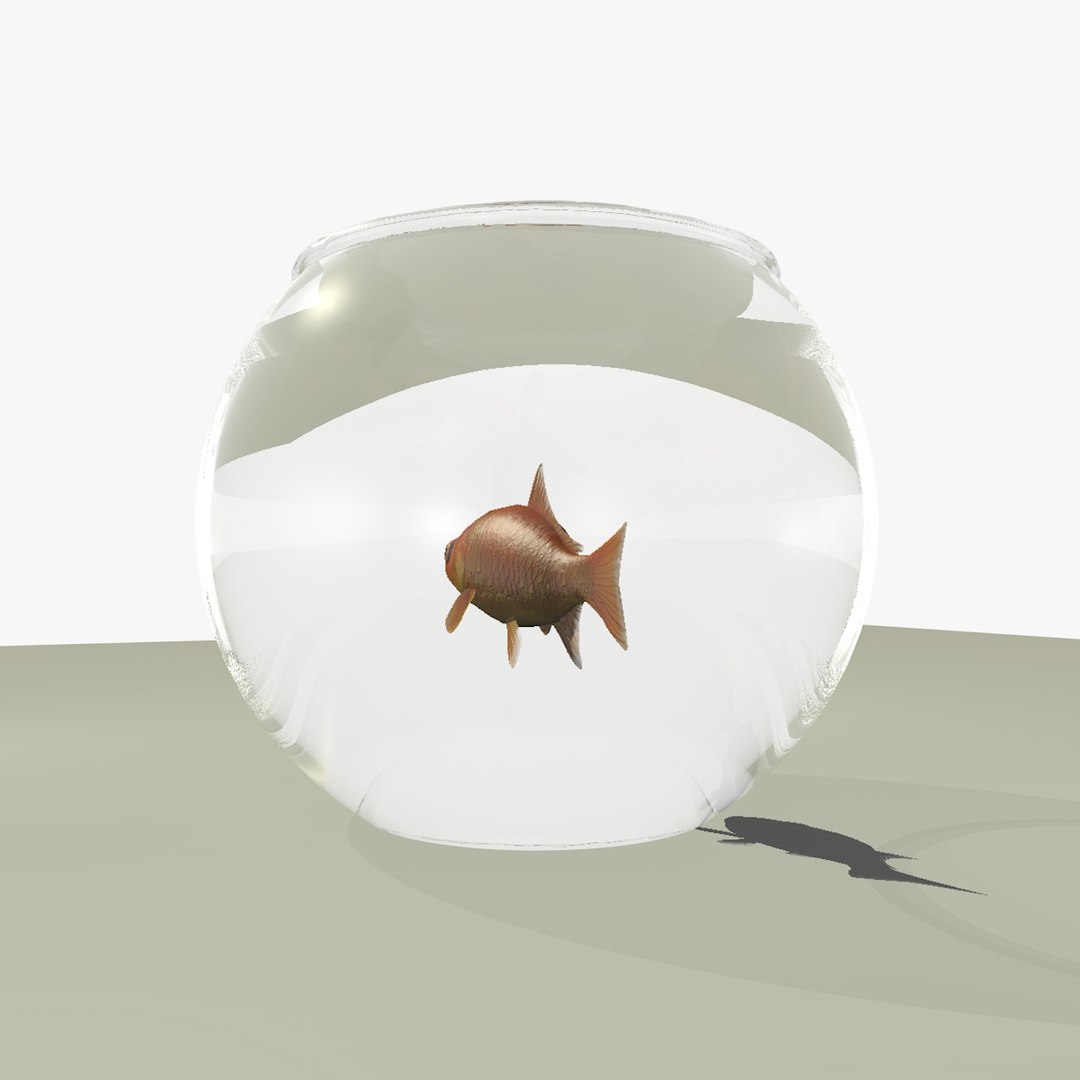 Common Goldfish Fish Bowl 3d C4d