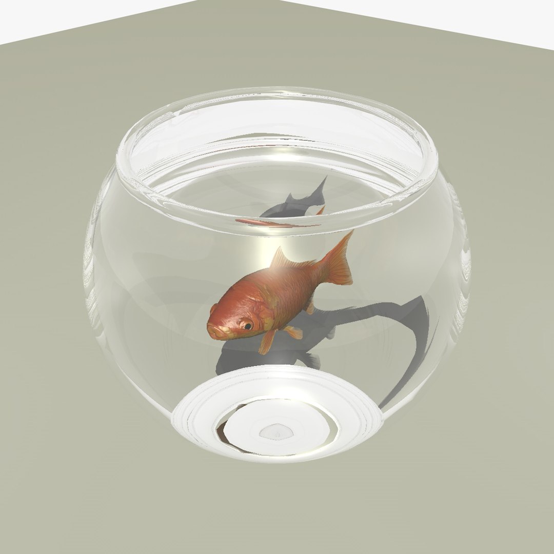 Common Goldfish Fish Bowl 3d C4d