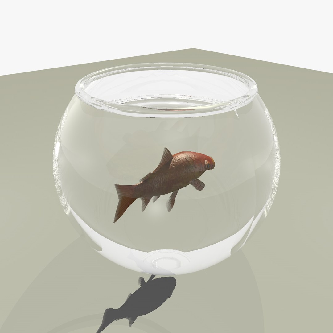 Common Goldfish Fish Bowl 3d C4d