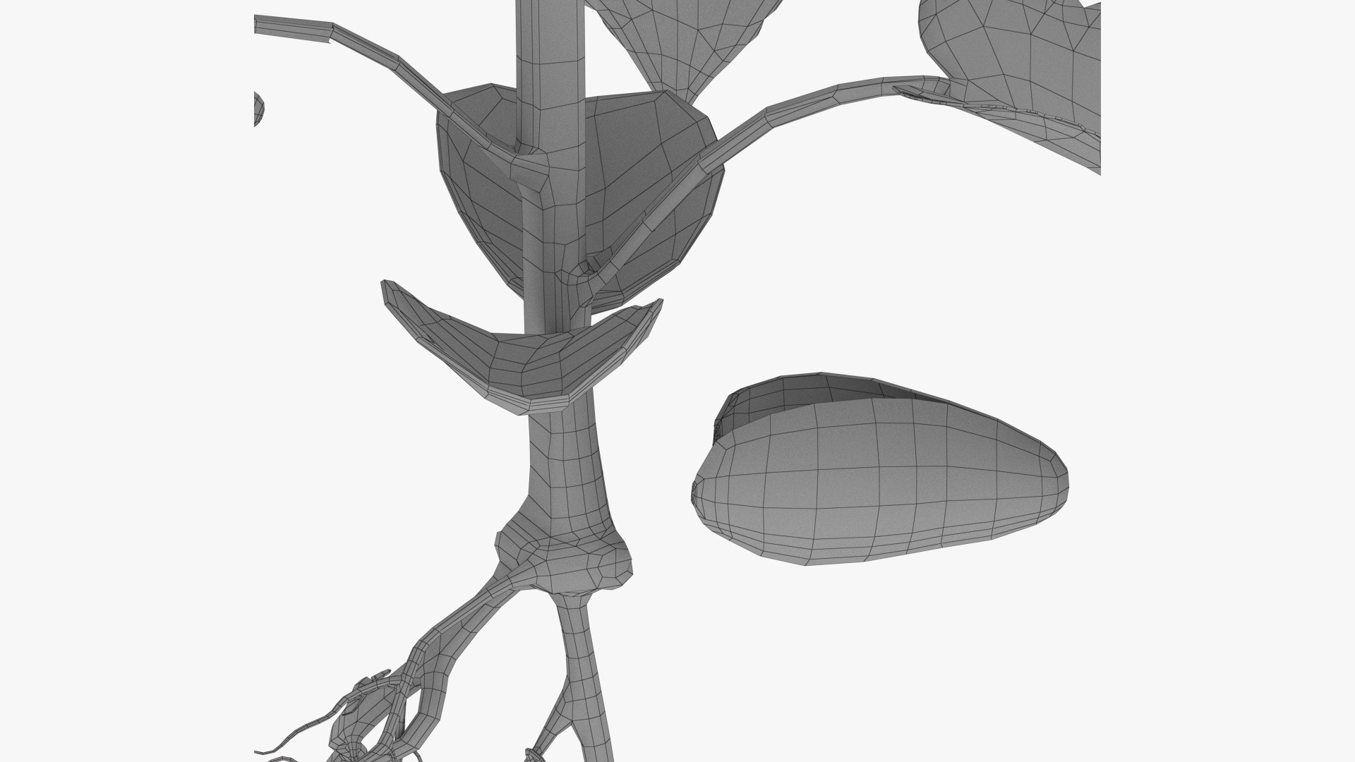3D Plant Grow Rigged And Animated - TurboSquid 2387543