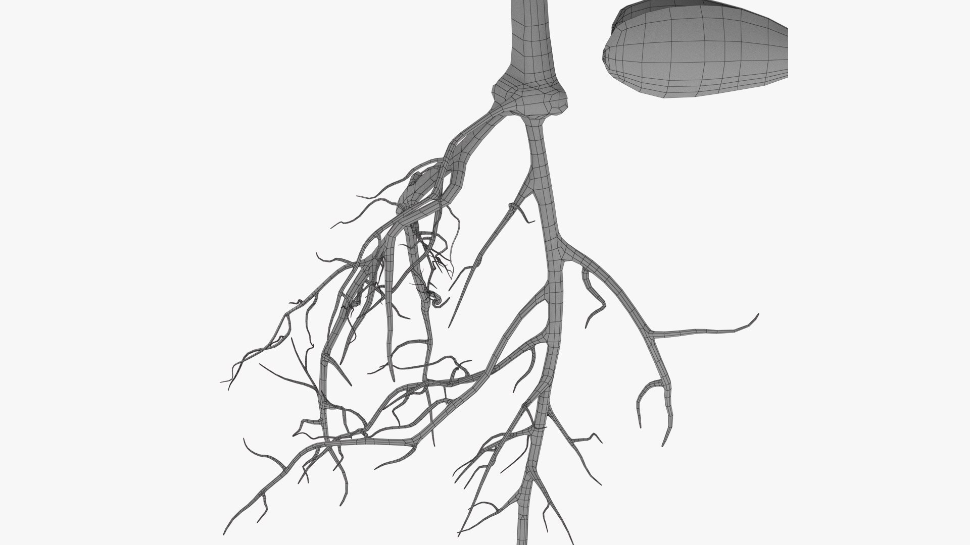 3D Plant Grow Rigged And Animated - TurboSquid 2387543