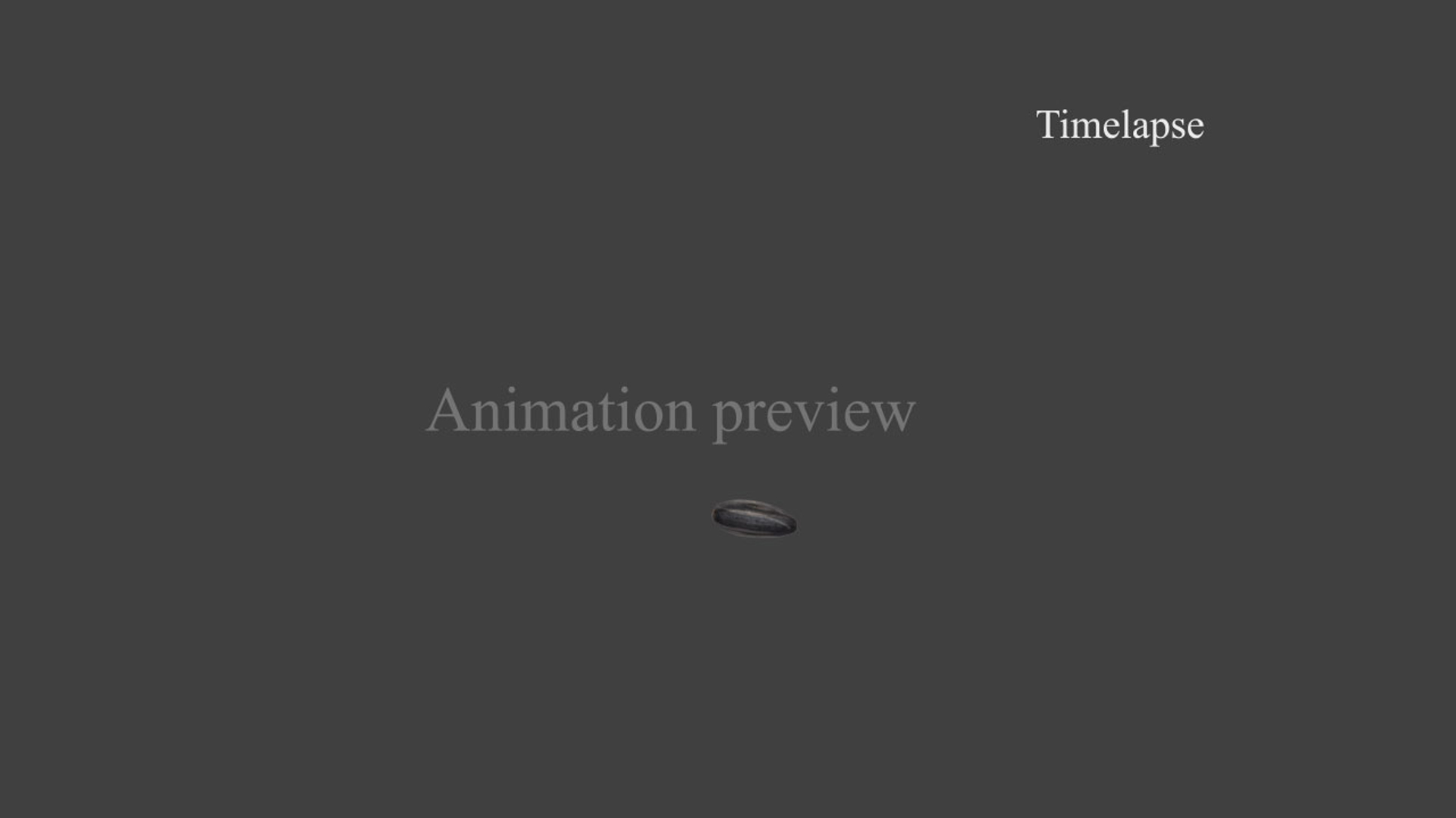 3D Plant Grow Rigged And Animated - TurboSquid 2387543
