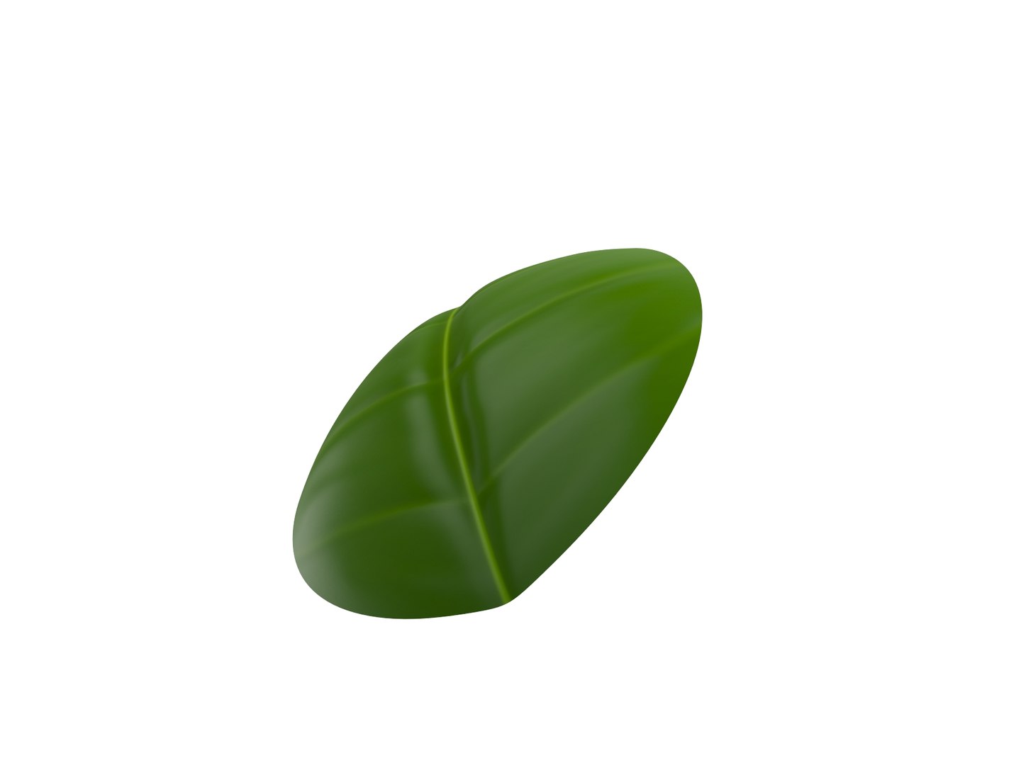 3D Basil model - TurboSquid 1797822