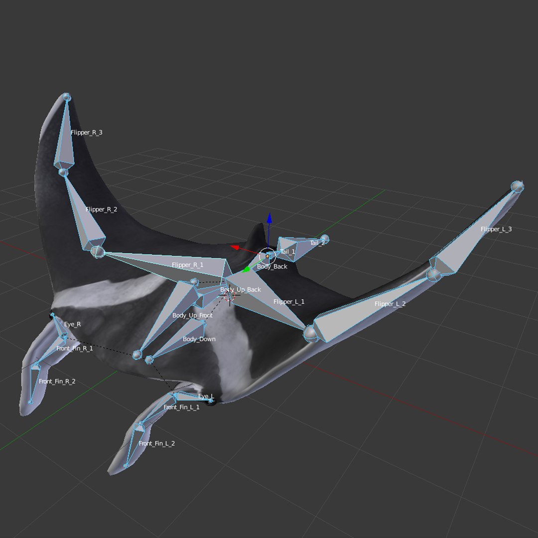 Rigged Manta 3d Model
