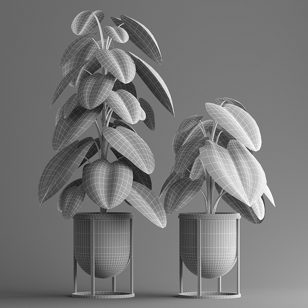 Pink Princess Plant 3D Model - TurboSquid 1916860