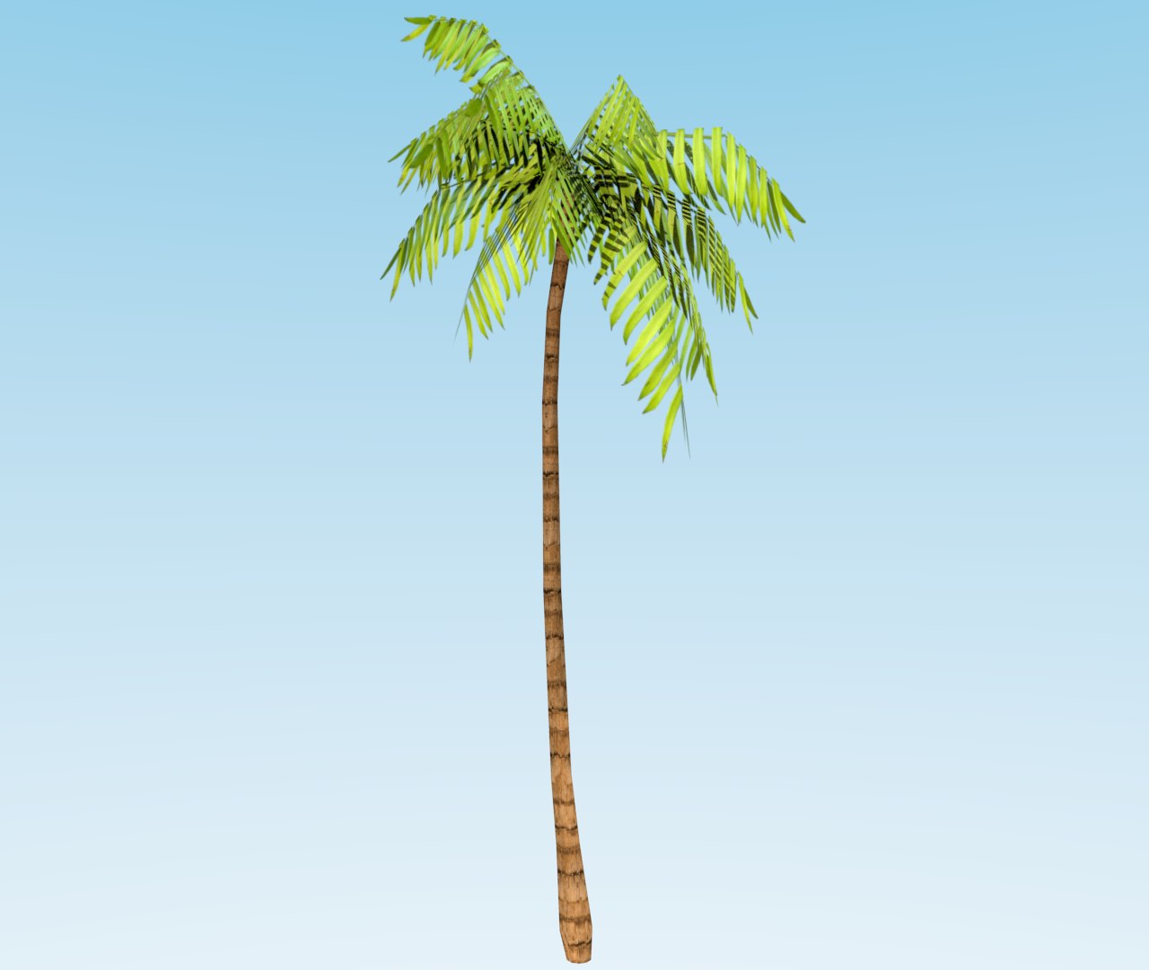 3d Model Palm Trees