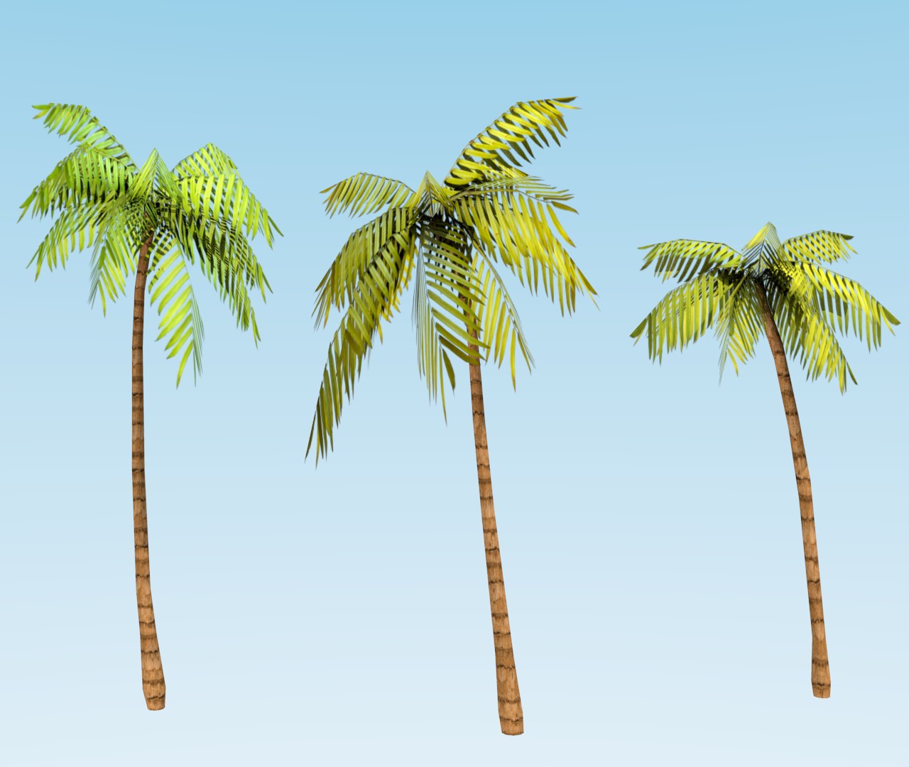 3d Model Palm Trees