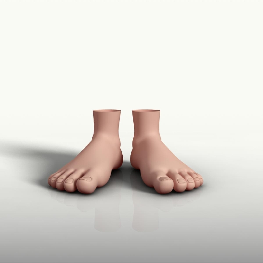 3d Model Foot