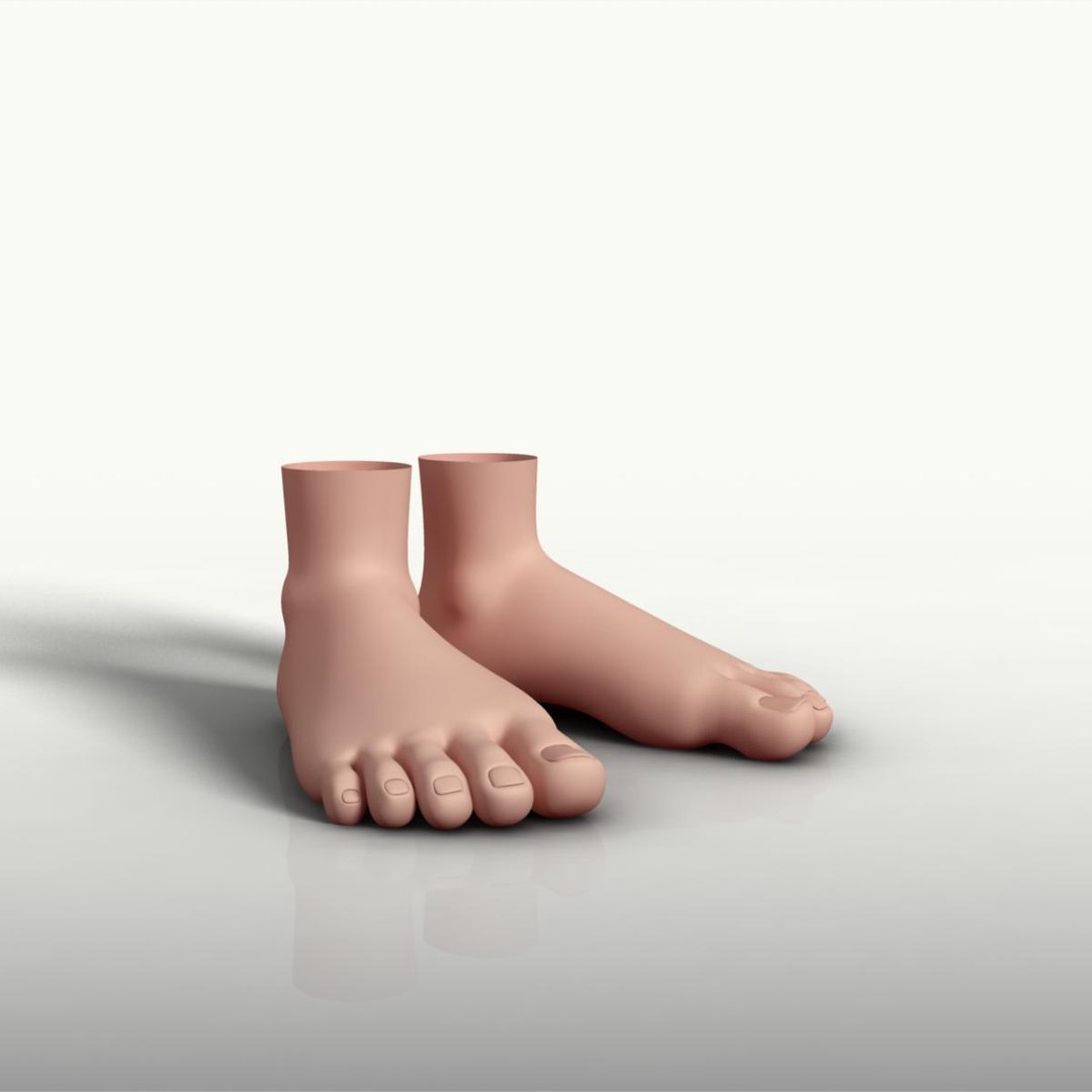 3d Model Foot