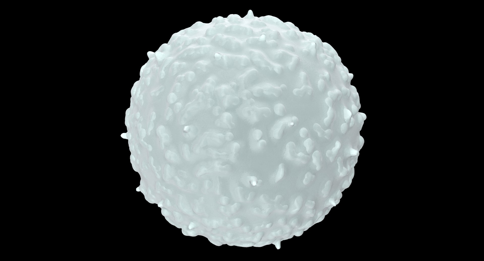 White Blood Cell 3D - TurboSquid 1259683