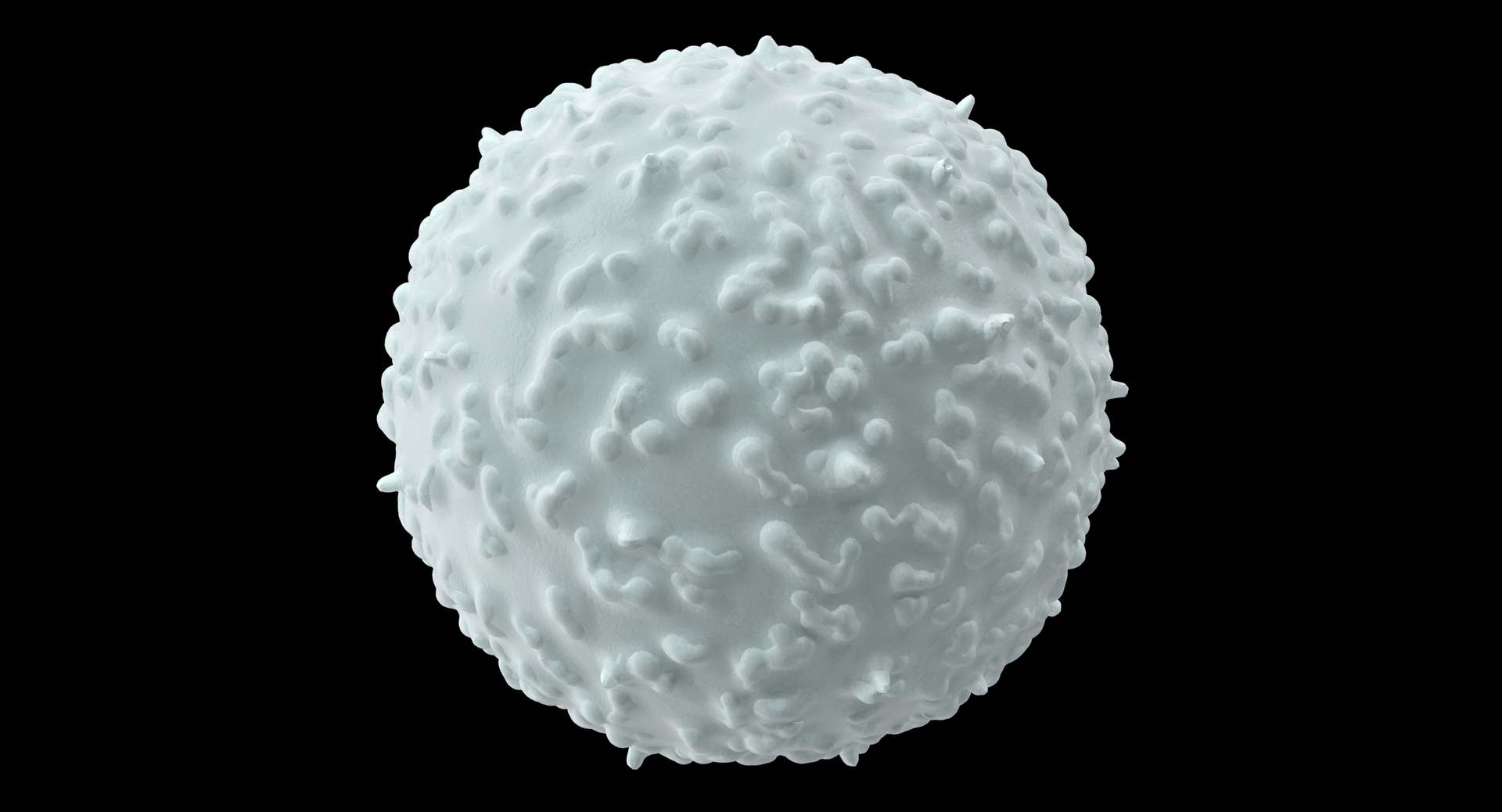 White Blood Cell 3D - TurboSquid 1259683