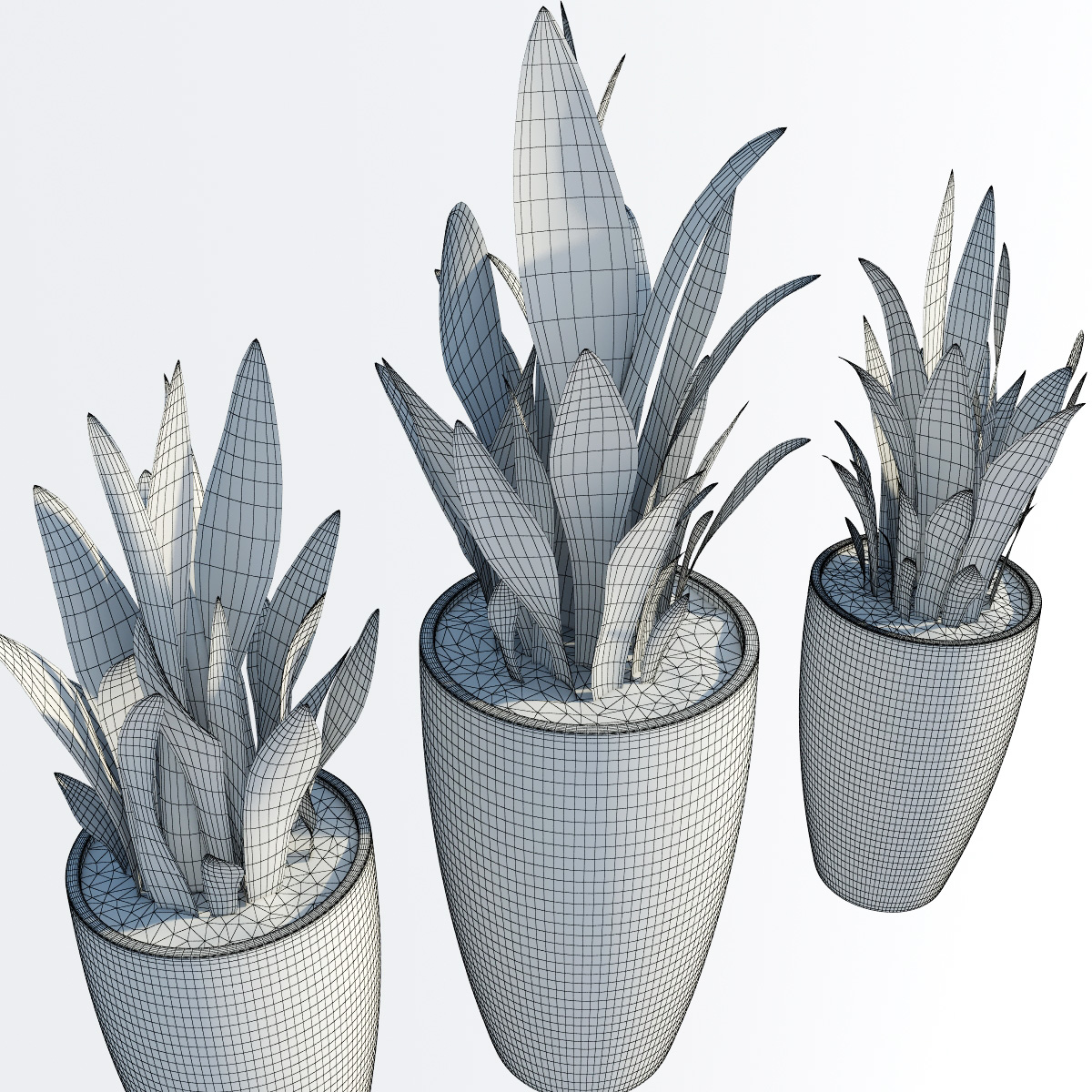 outdoor plants gardening 3d max
