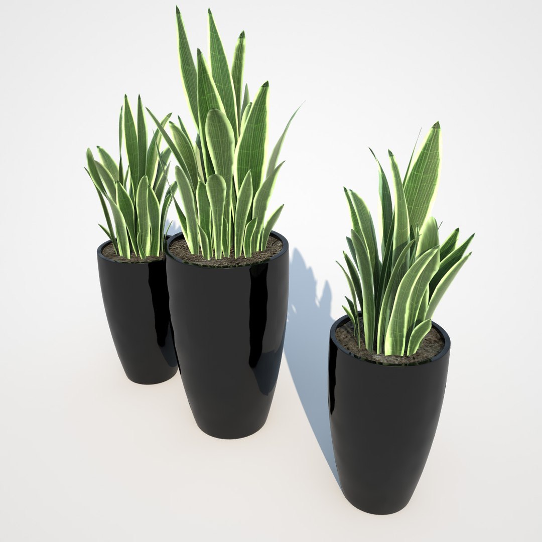 Outdoor Plants Gardening 3d Max