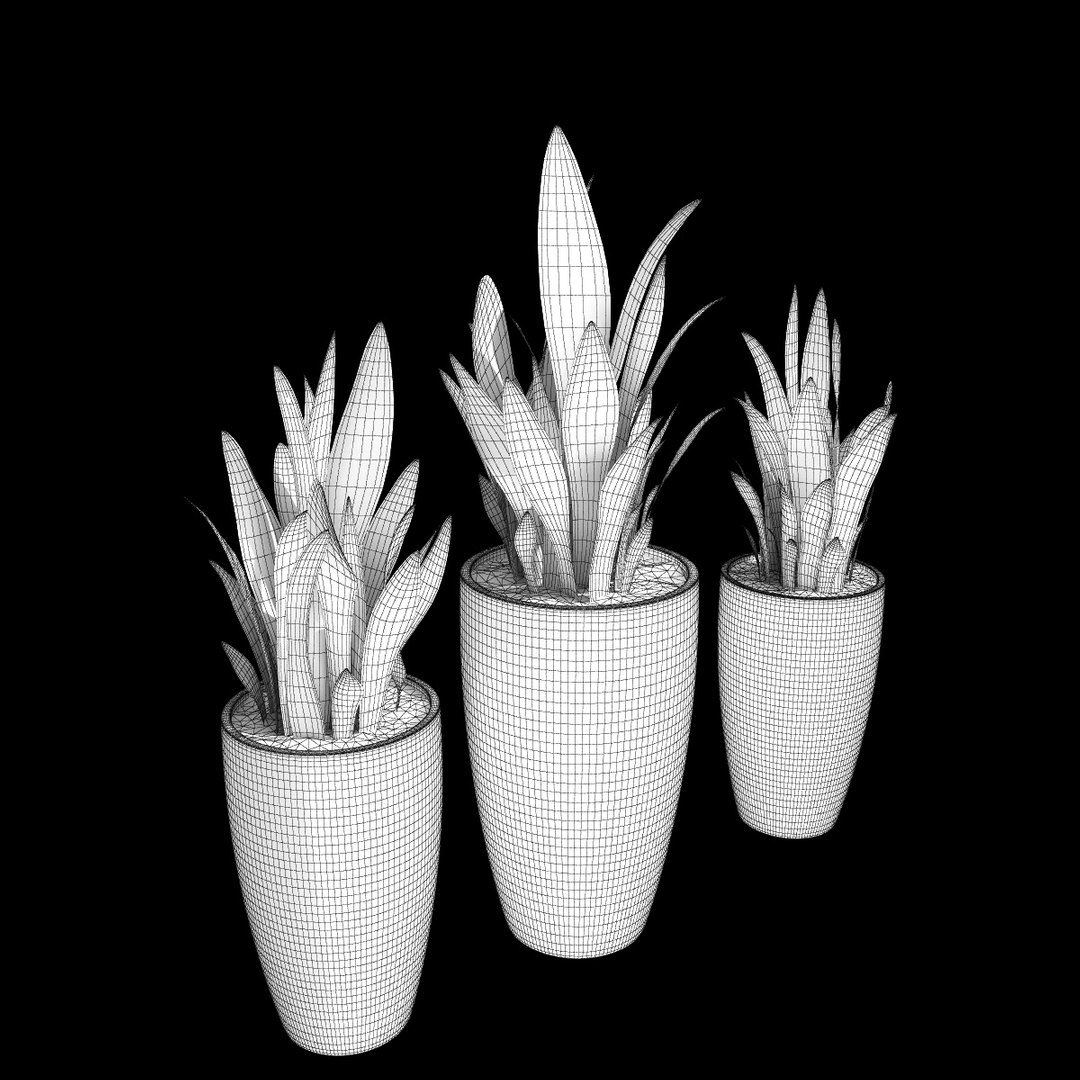 Outdoor Plants Gardening 3d Max