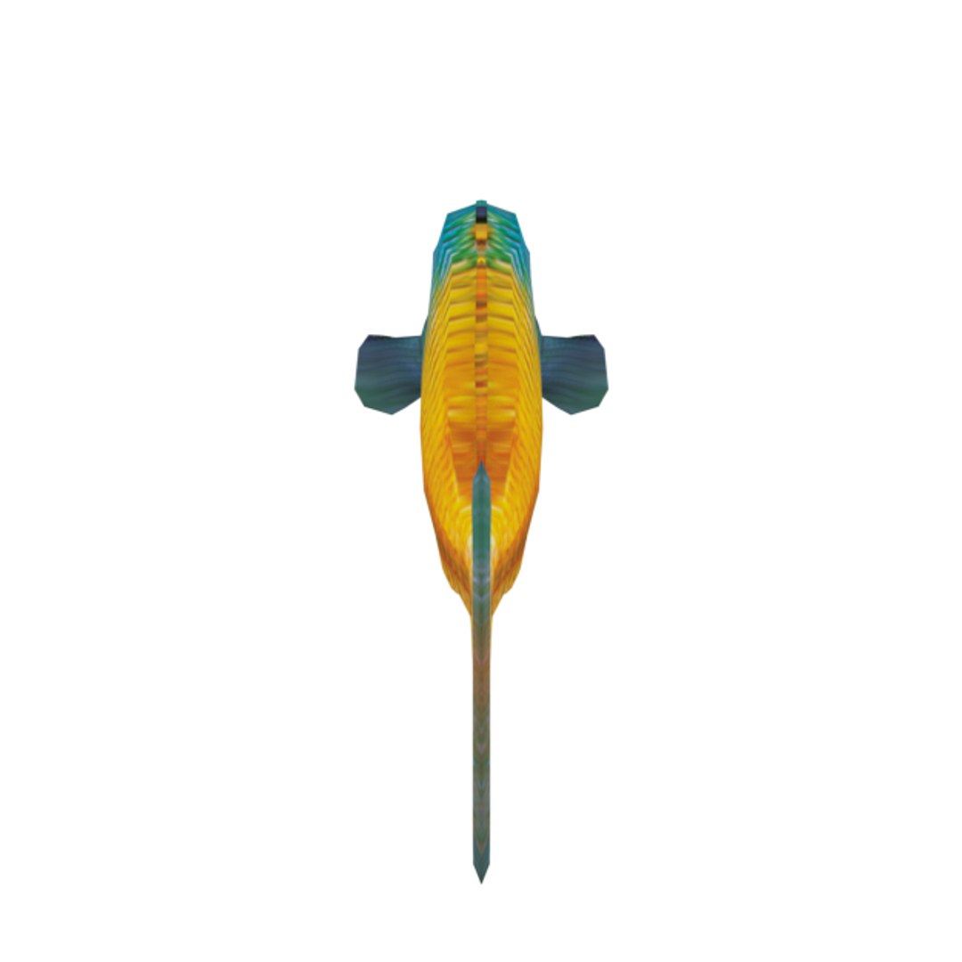 3D Rainbow Fish - TurboSquid 1318858