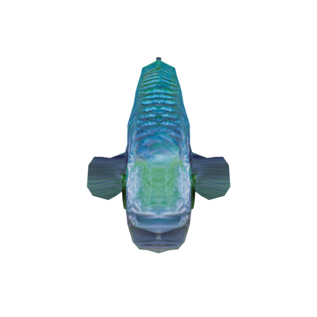 3D Rainbow Fish - TurboSquid 1318858