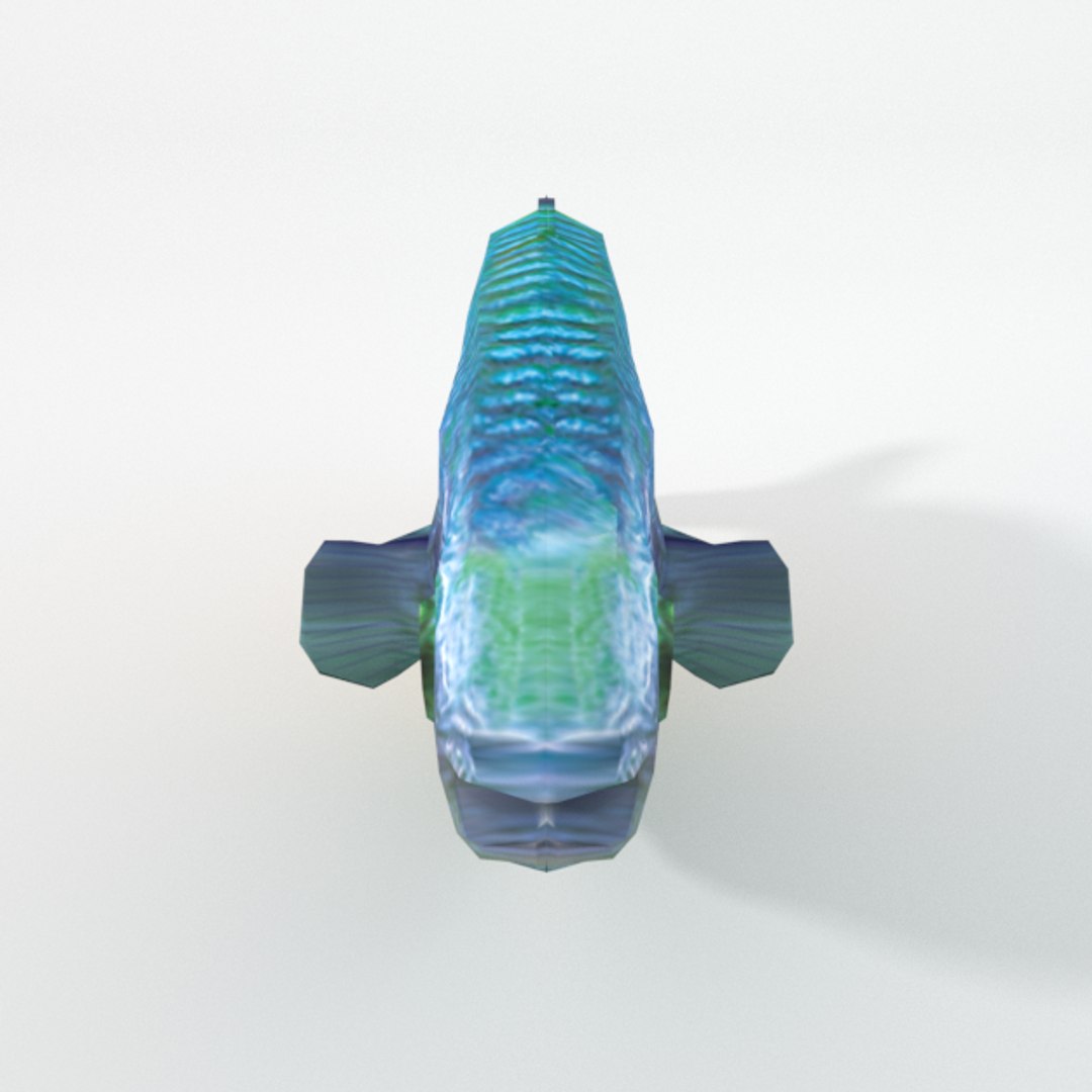 3D Rainbow Fish - TurboSquid 1318858