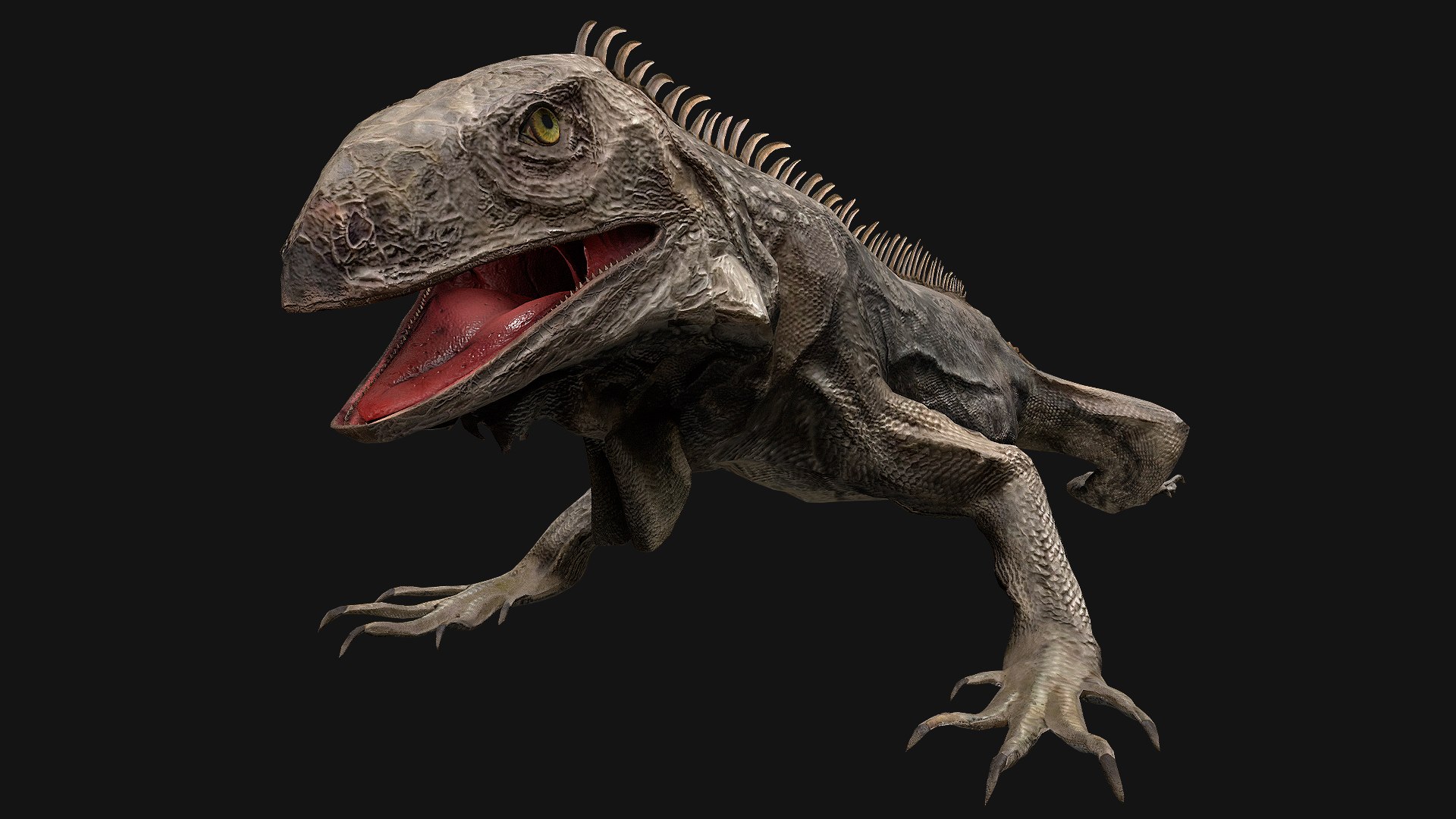 Iguana Reptile 3D Model - TurboSquid 2038540