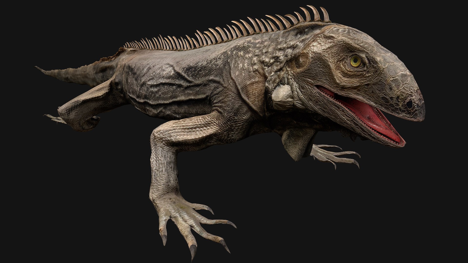 Iguana Reptile 3D Model - TurboSquid 2038540
