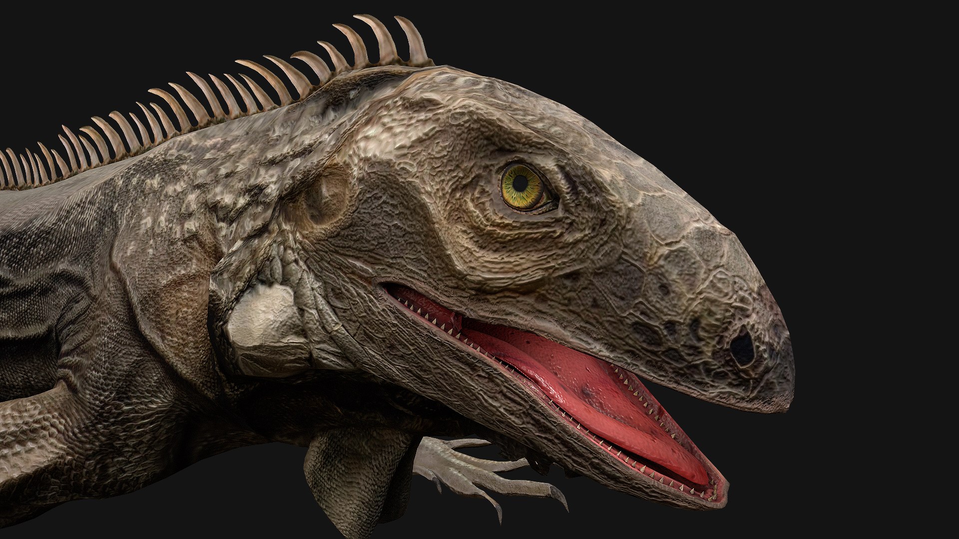 Iguana Reptile 3D Model - TurboSquid 2038540