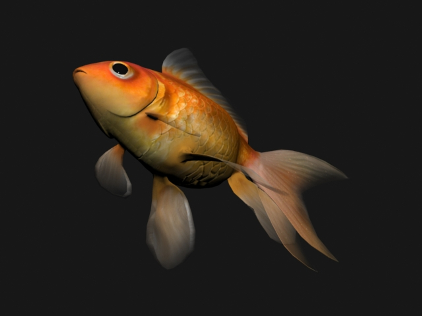 goldfish fish 3d max