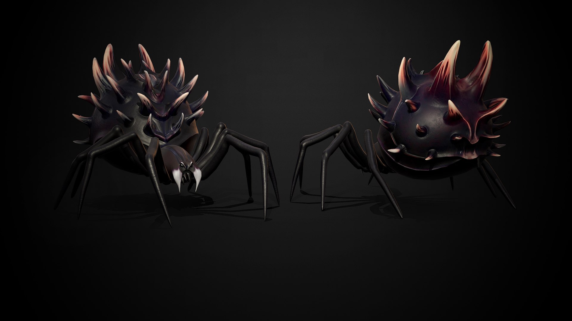 Spider insect3 3D - TurboSquid 2126250